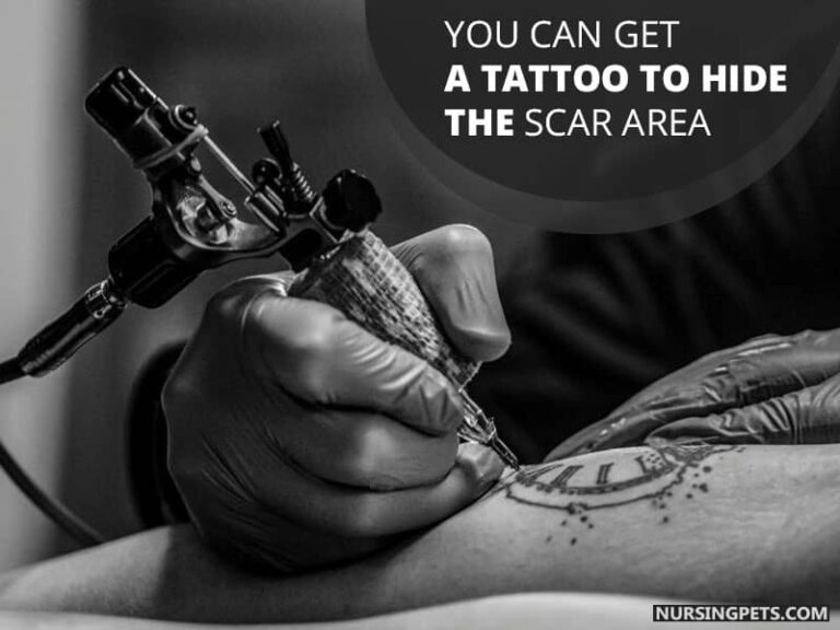 Do Cat Scratches Leave Scars? - Nursing Pets